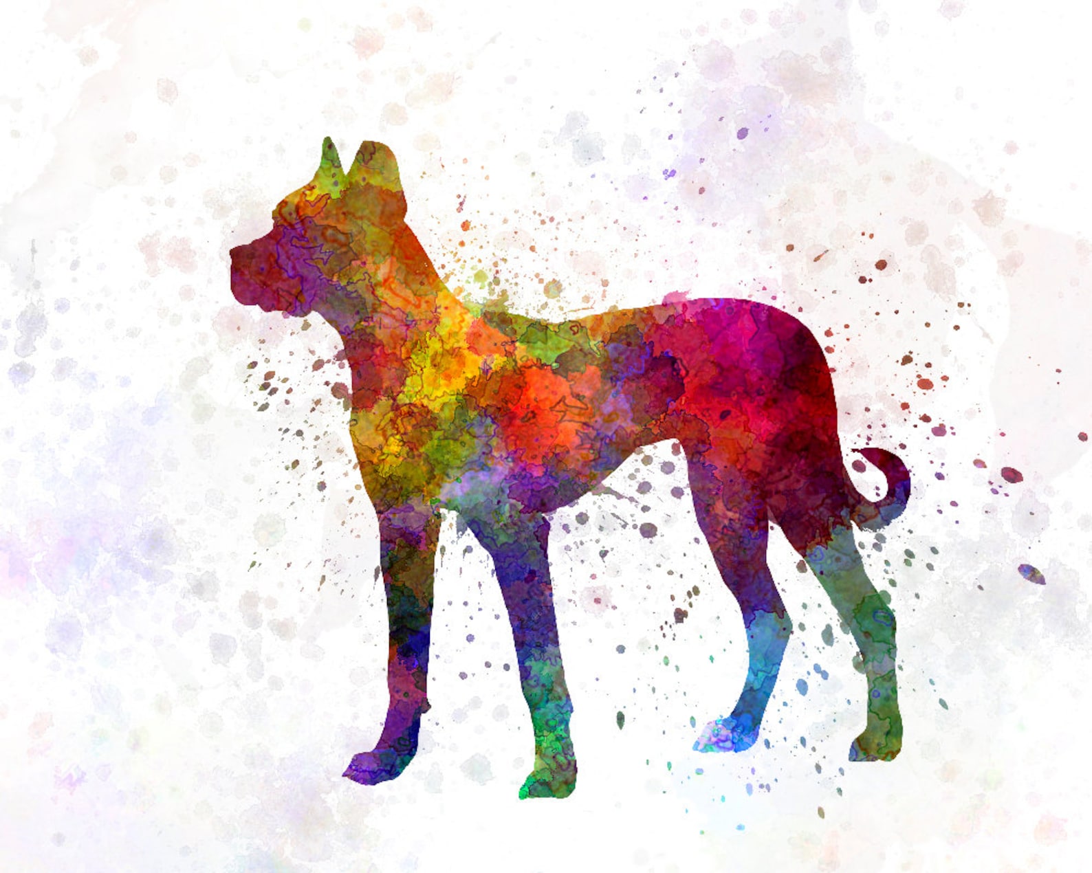 Spanish Alano 01 in Watercolor 8x10 In. to 12x16 In. Fine Art - Etsy