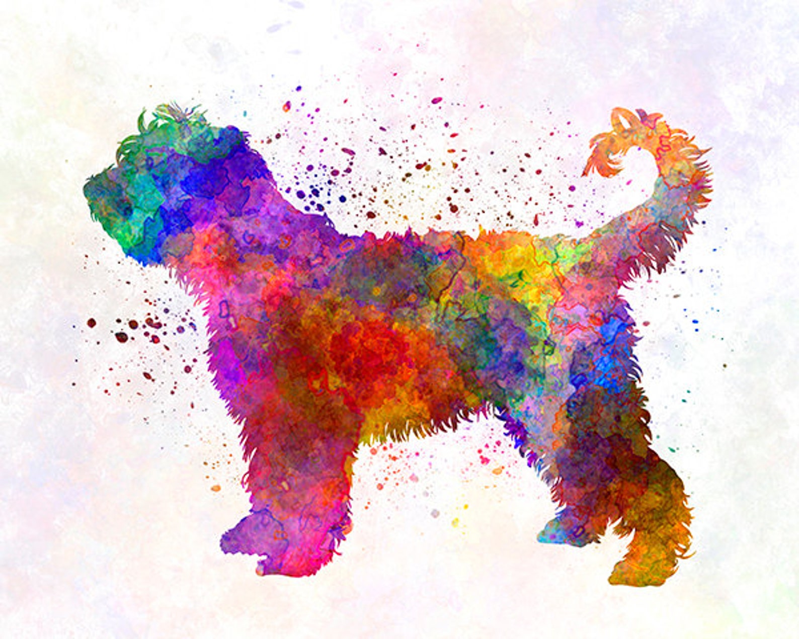 French Water Dog 01 in Watercolor - Fine Art Print Poster Decor Home ...