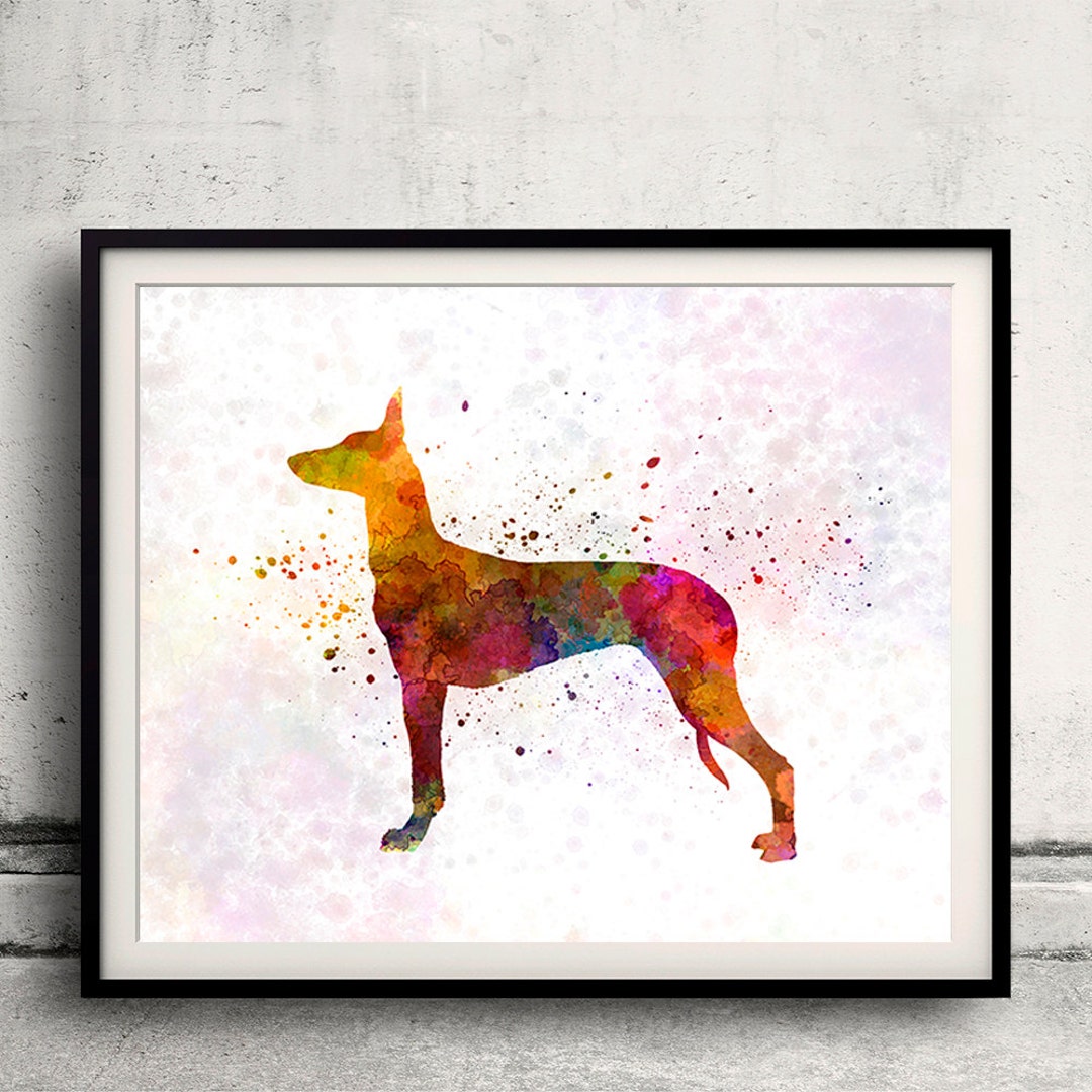 Pharaoh Hound 01 in Watercolor - Fine Art Print Poster Decor Home ...