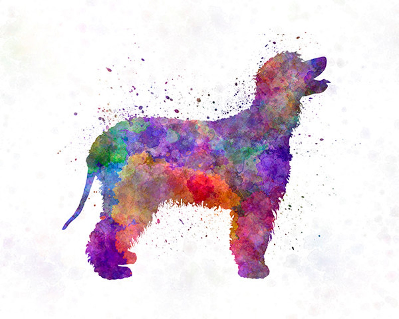 Irish Water Spaniel 01 in Watercolor 8x10 In. to 12x16 In. Fine Art ...