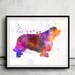 Clumber Spaniel 01 in Watercolor 8x10 In. to 12x16 In. Fine Art Print ...