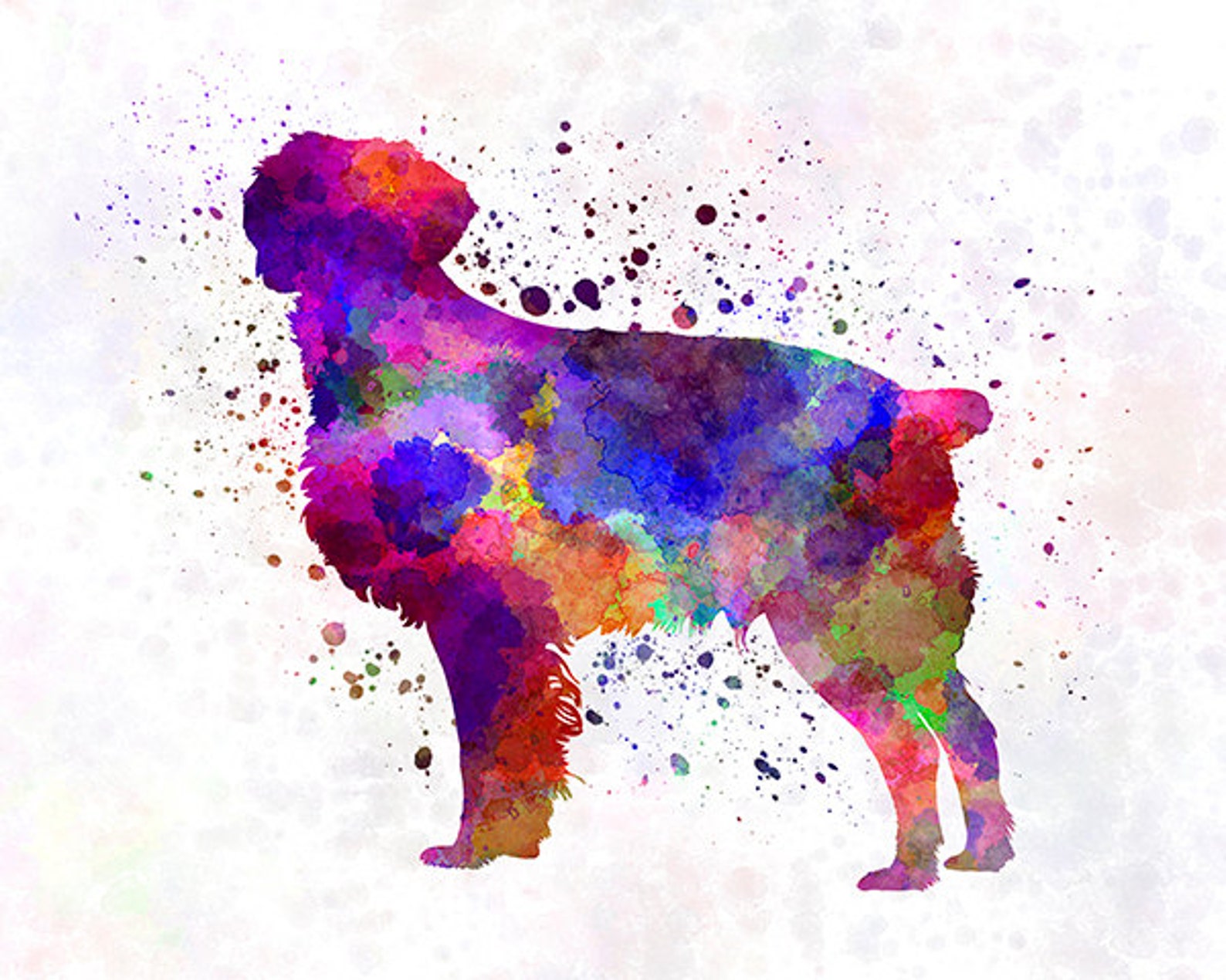 Brittany Spaniel 01 in Watercolor Fine Art Print Poster - Etsy