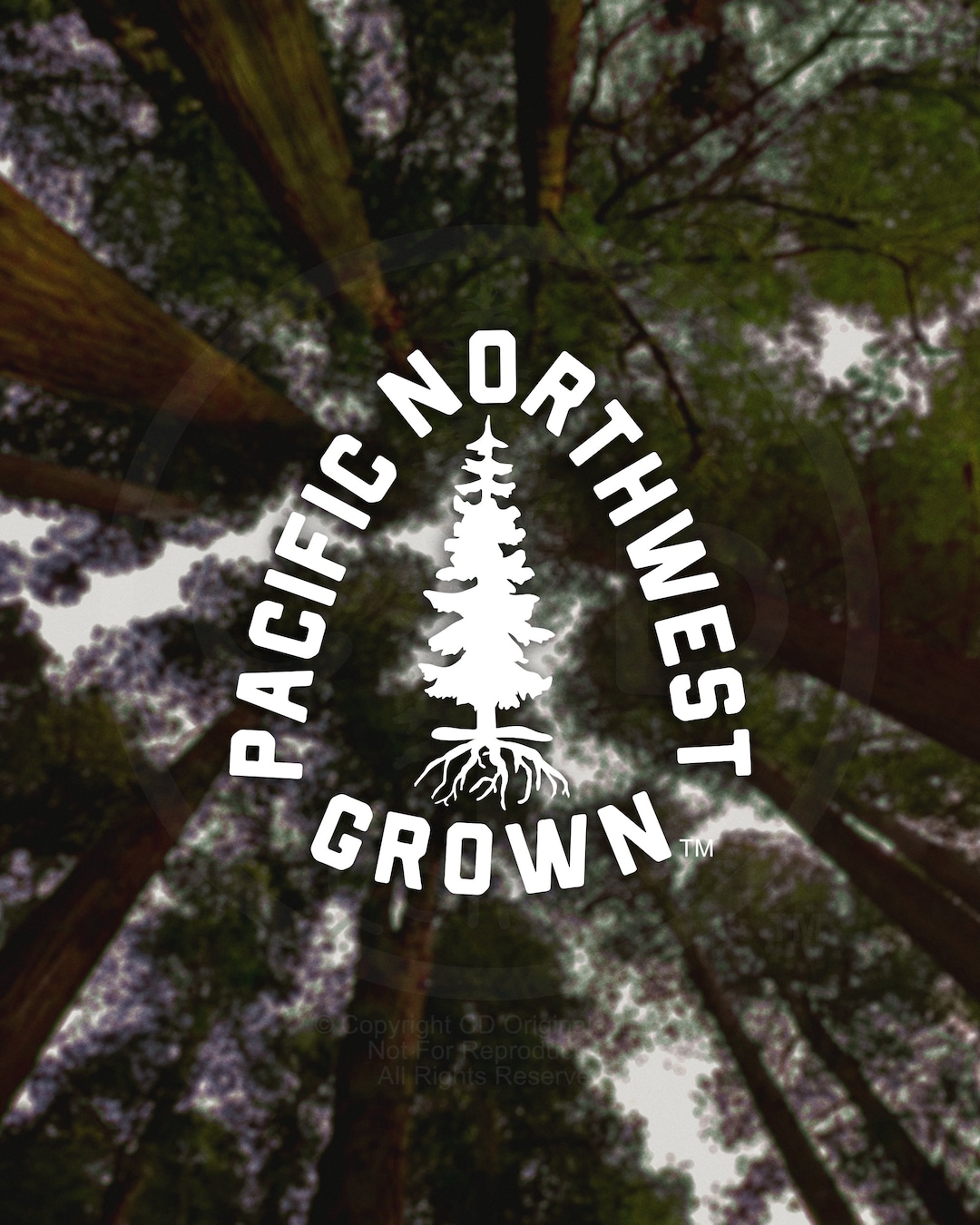 Pacific Northwest Grown Vinyl Decal - Represent Your PNW Roots in Style ...