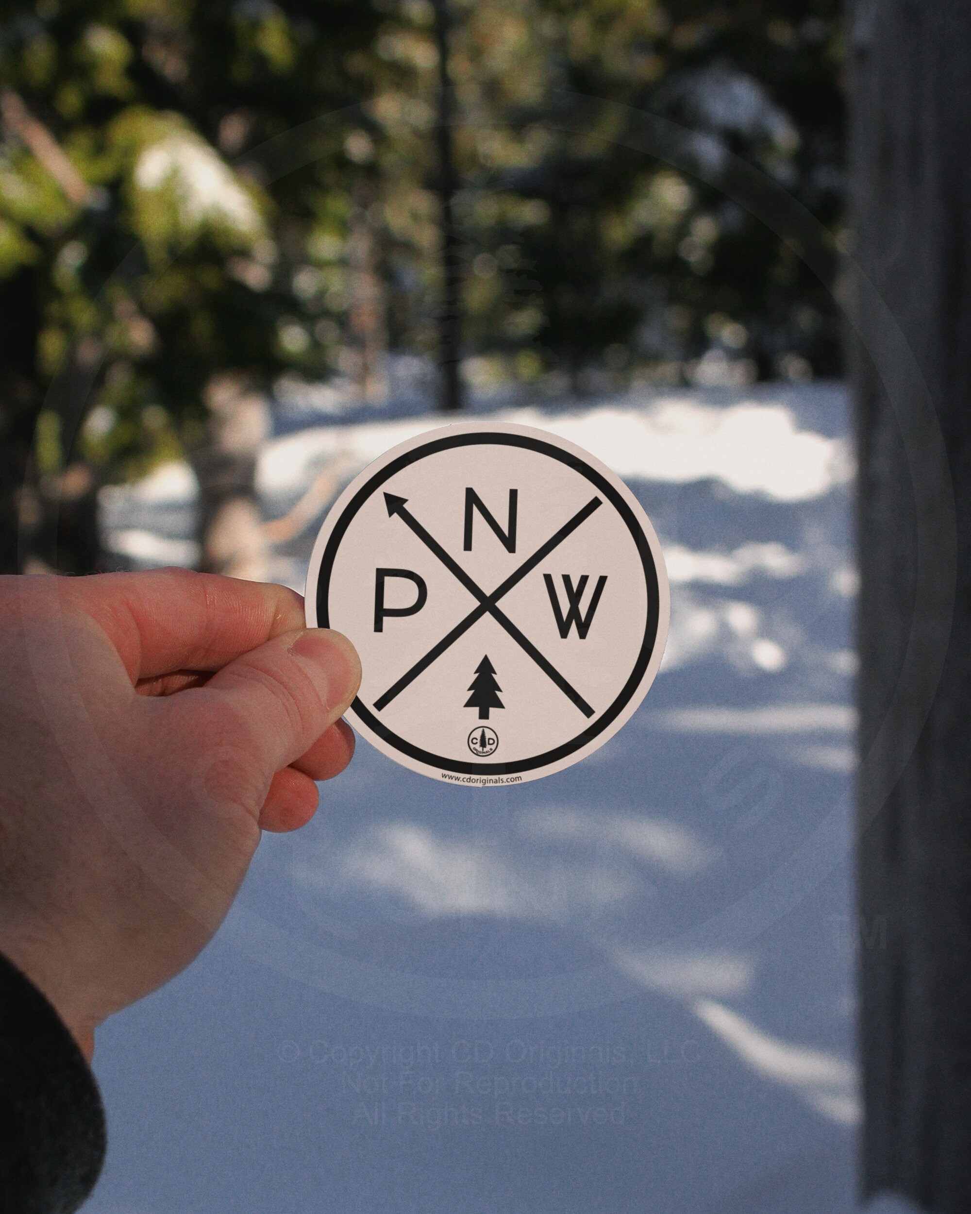 Pacific Northwest Pride Compass Sticker - the Original Iconic PNW ...