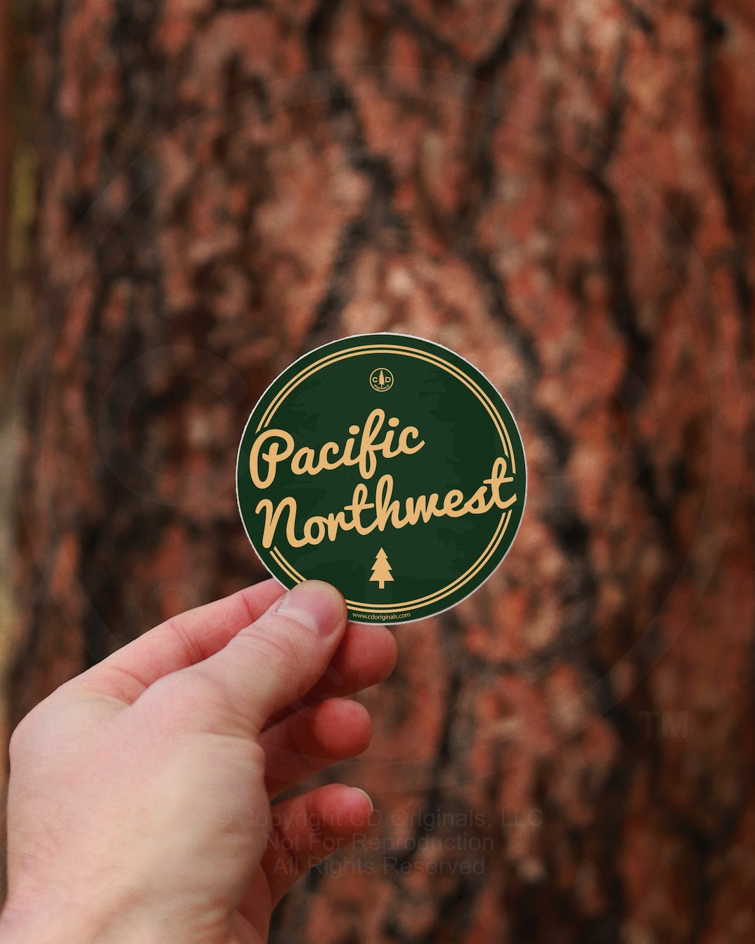 Pacific Northwest Retro Script Sticker Perfect for Your Water Bottle ...