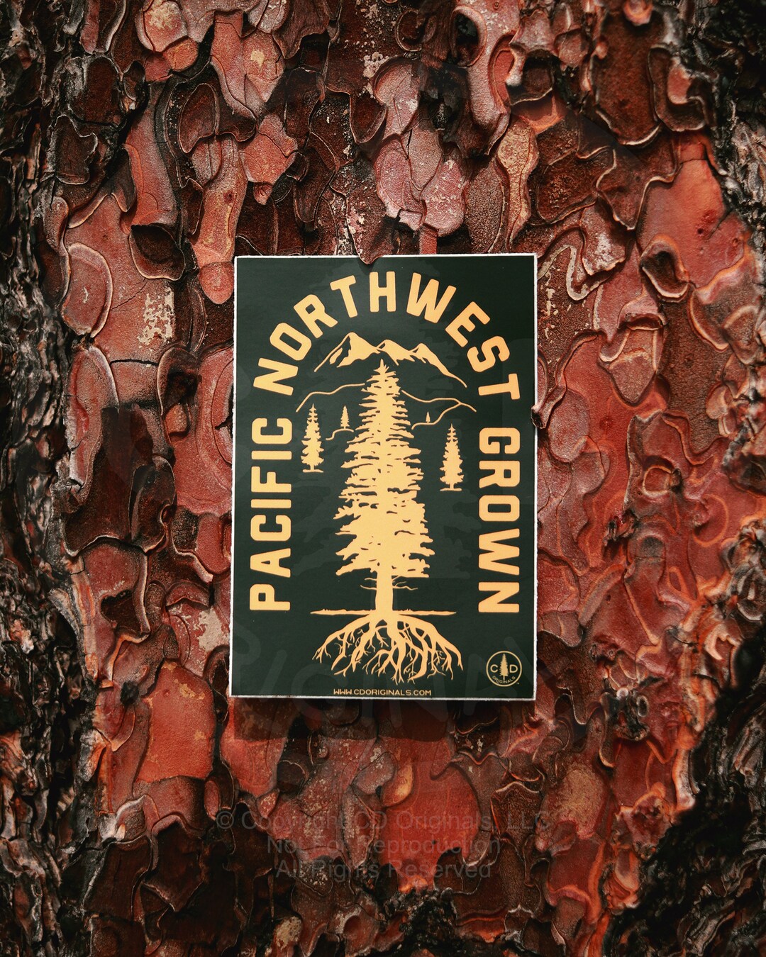 Pacific Northwest Grown Vinyl Sticker: PNW Roots Douglas Fir - Etsy