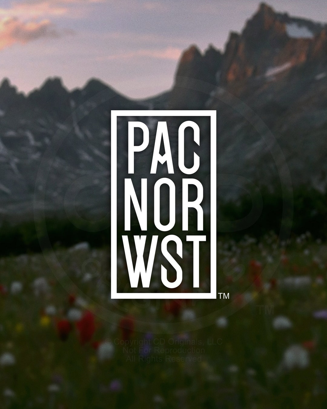 PNW Shorthand Vinyl Decal - Durable and Weatherproof, Perfect for Car ...