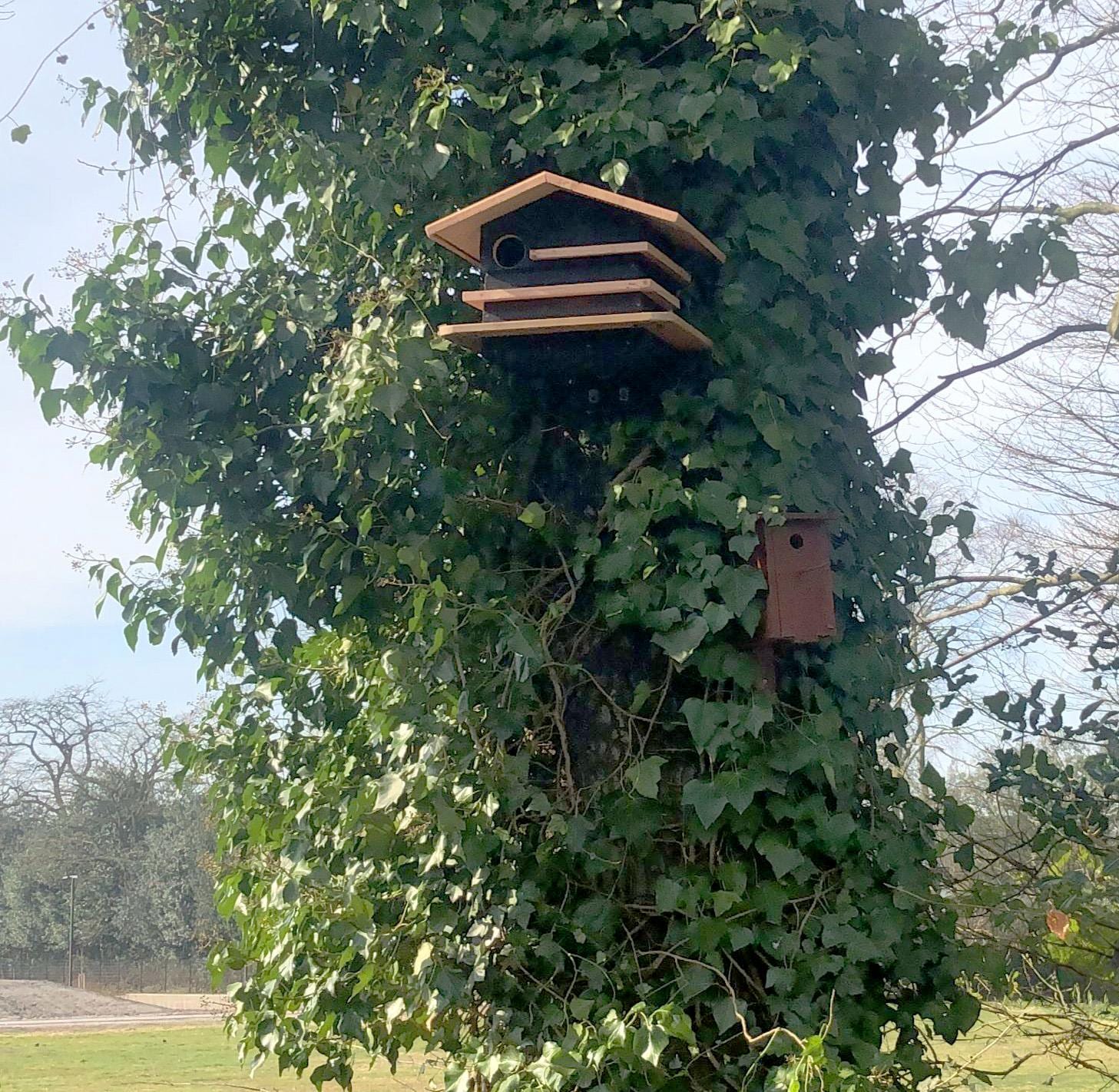 Dutch Design Squirrel House / Nest Box DIY Plan - Etsy
