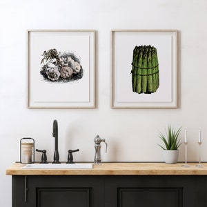 Asparagus, Kitchen Print, Art Prints, Kitchen Prints, Wall Art Prints ...
