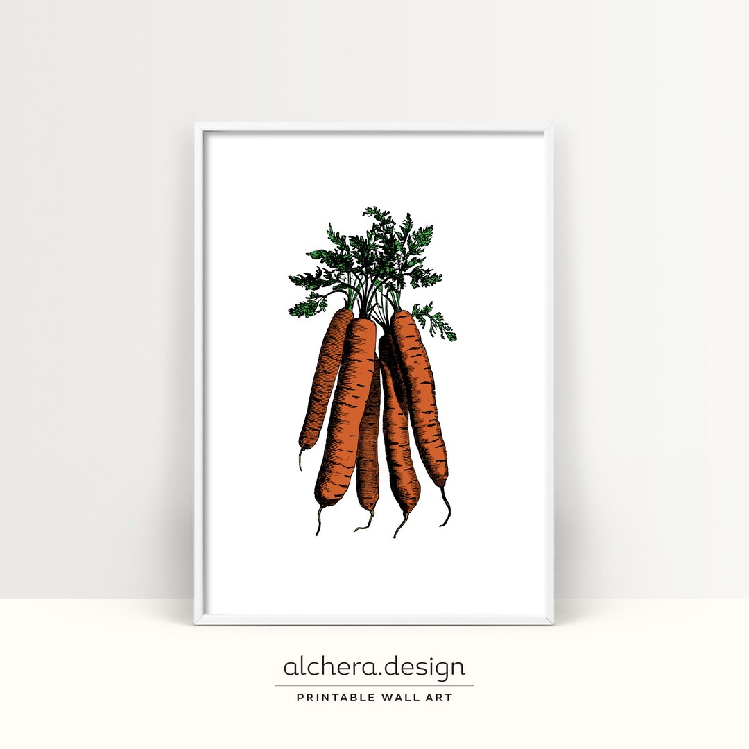 Printable Carrot Kitchen Decor, Carrot Illustration Wall Art ,digital ...