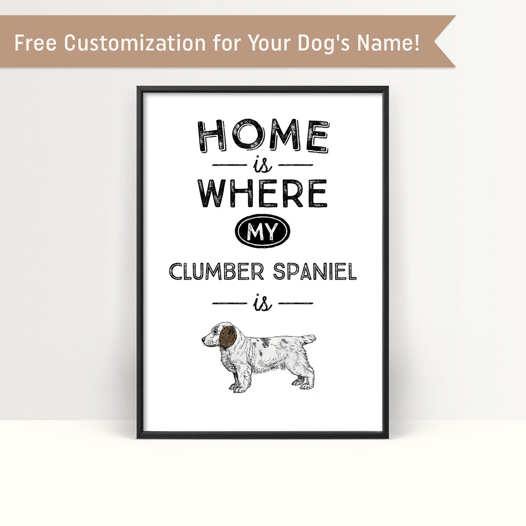 Clumber Spaniel Art Print, Dog Portrait, Personalized Home Decor ...