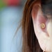 14k Gold Bird Peace Coin Piercing,outer Conch,for Her,for Mom,dainty ...