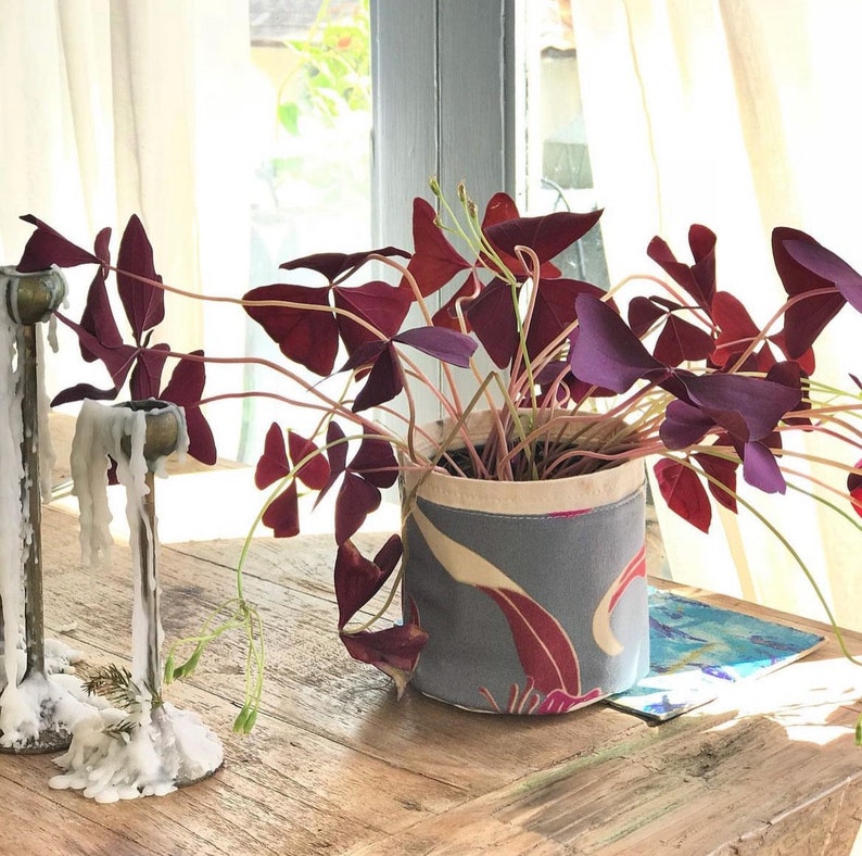 Fabric Planter Sewing Pattern PDF Beginner Sewing Pattern Plant Pot ...