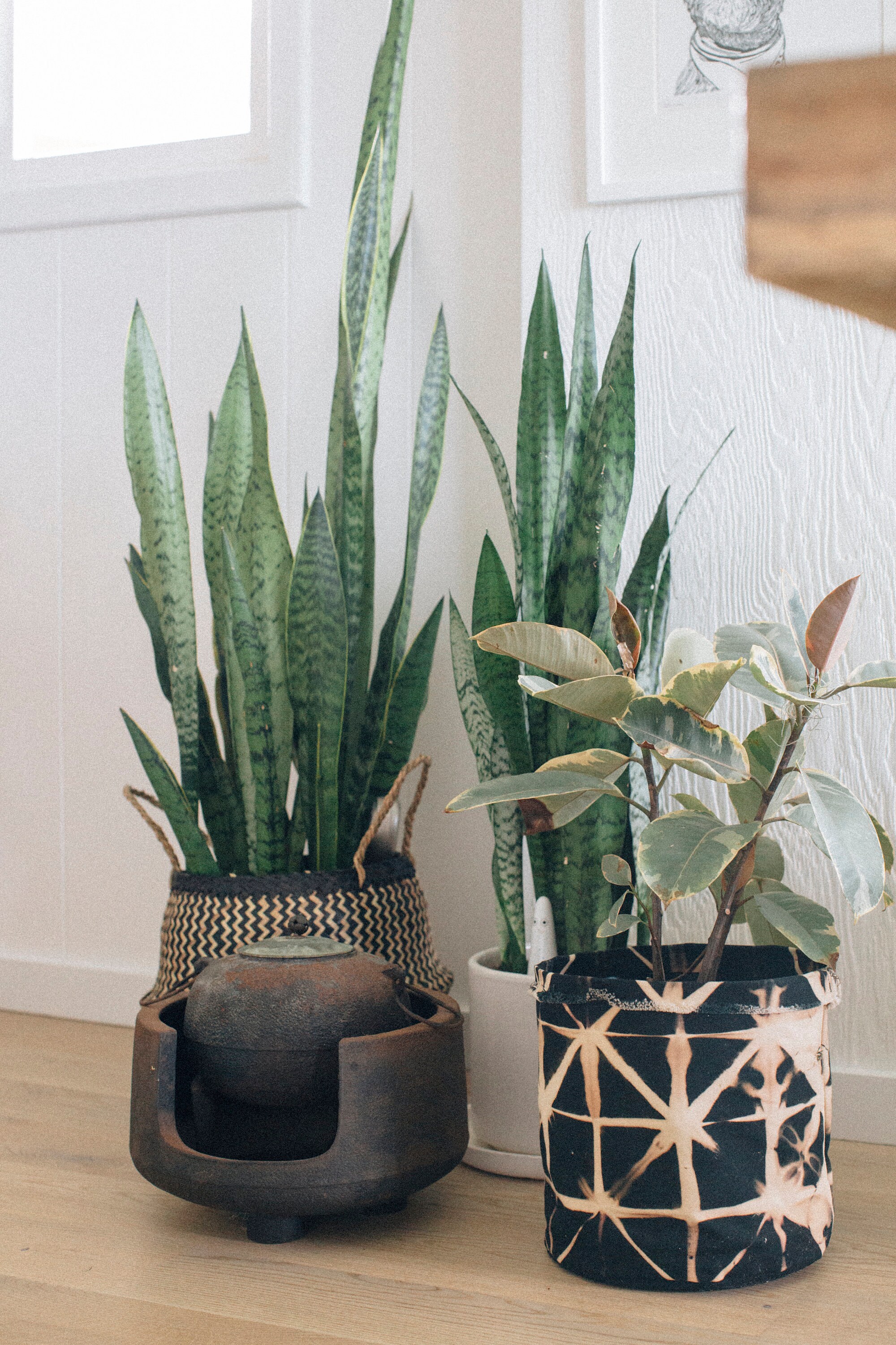 Fabric Planter Sewing Pattern PDF Beginner Sewing Pattern Plant Pot ...