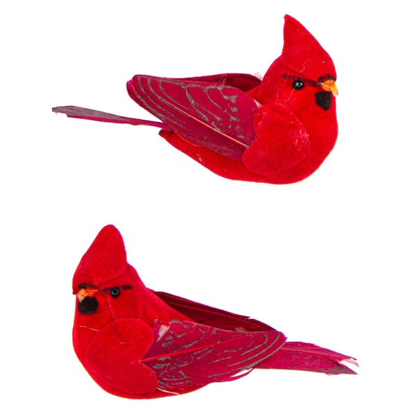 Red Cardinal - Etsy