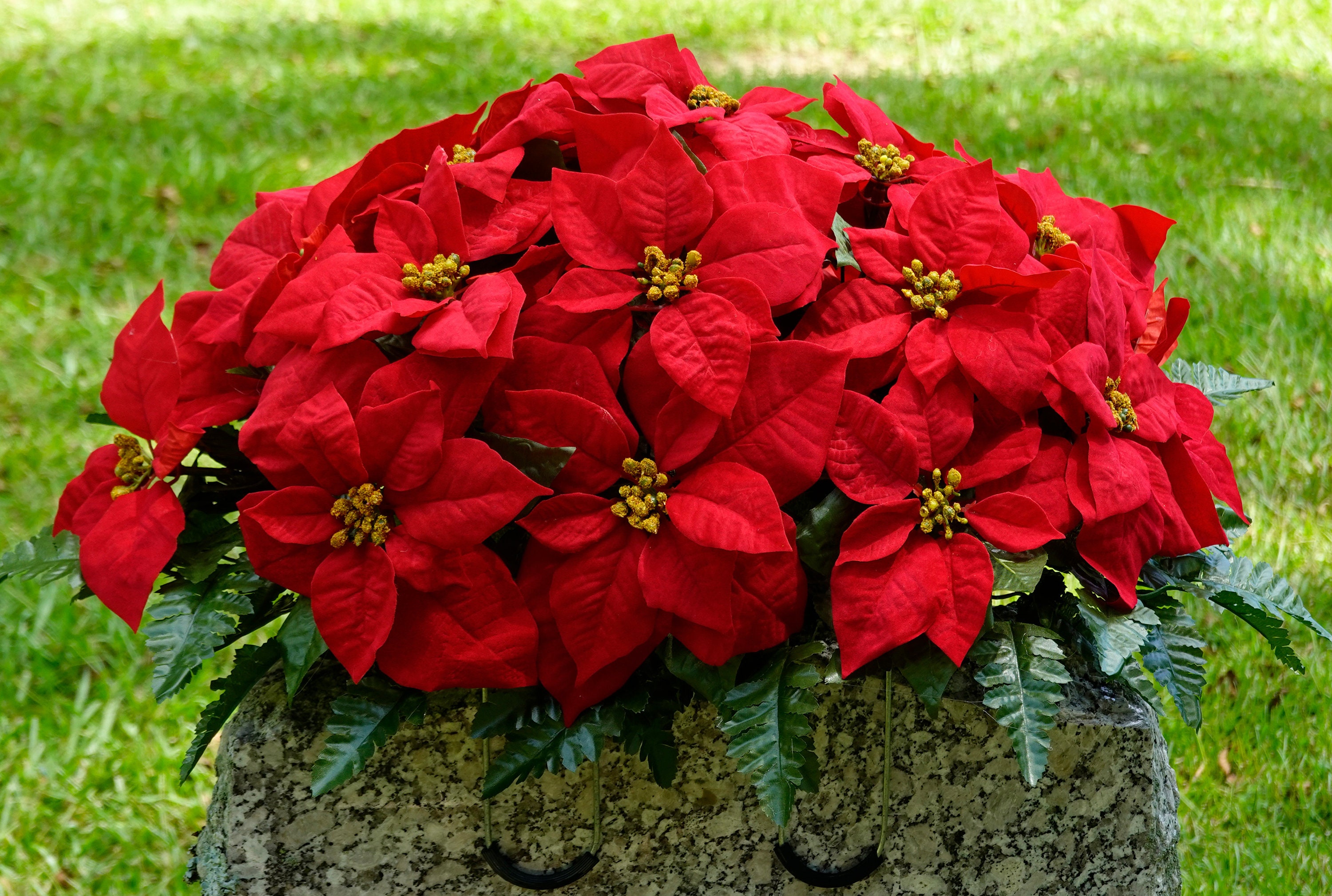 Red Poinsettia Cemetery Saddle Christmas Cemetery Flowers Winter Headstone Saddle Etsy UK