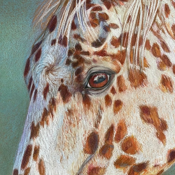 Leopard Appaloosa - Etsy