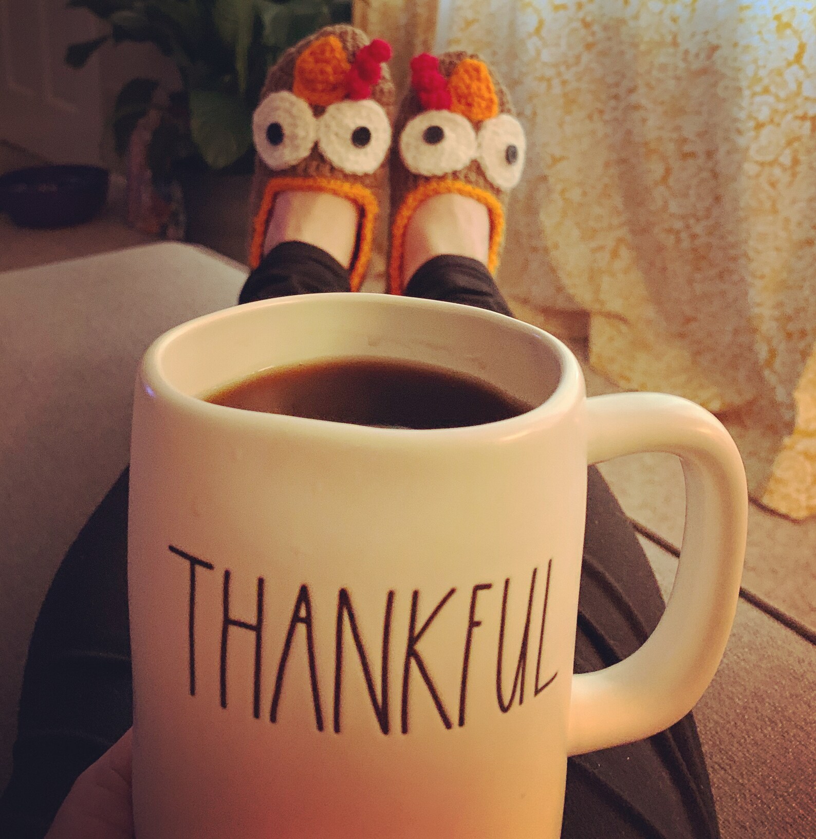Turkey Slippers for Women, Thanksgiving Slippers - Etsy