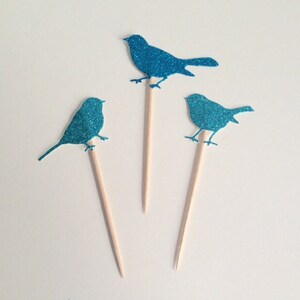 Bird Party Cupcake Toppers, Birthday, Wedding Party or Baby Shower - Etsy