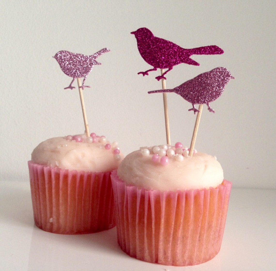 Bird Party Cupcake Toppers Birthday Wedding Party or Baby | Etsy