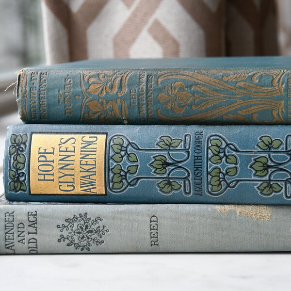 Antique Book Collection - Etsy
