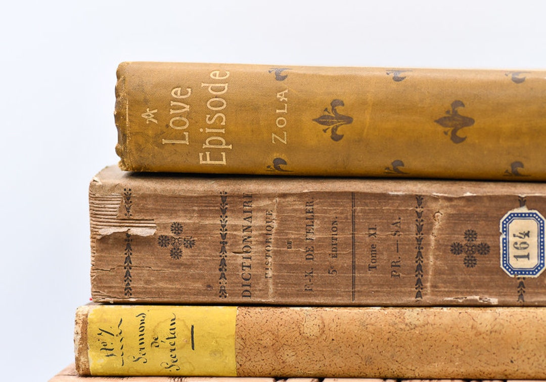 Collection of Antique Books for Home or Office Interiors, Emile Zola ...
