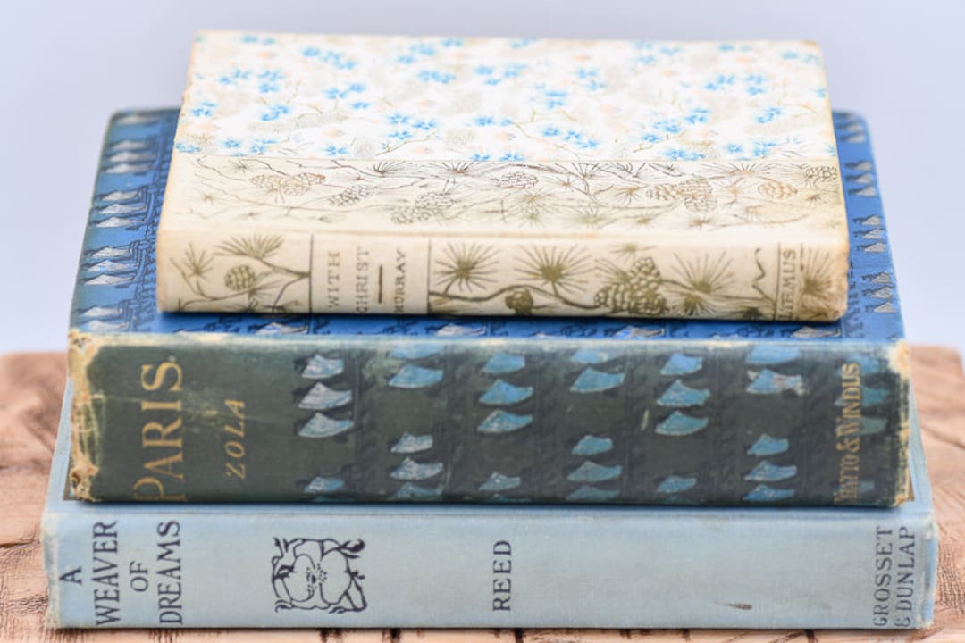 Antique Decorative Blue Book Stack for Home Interiors, Emile Zola - Etsy