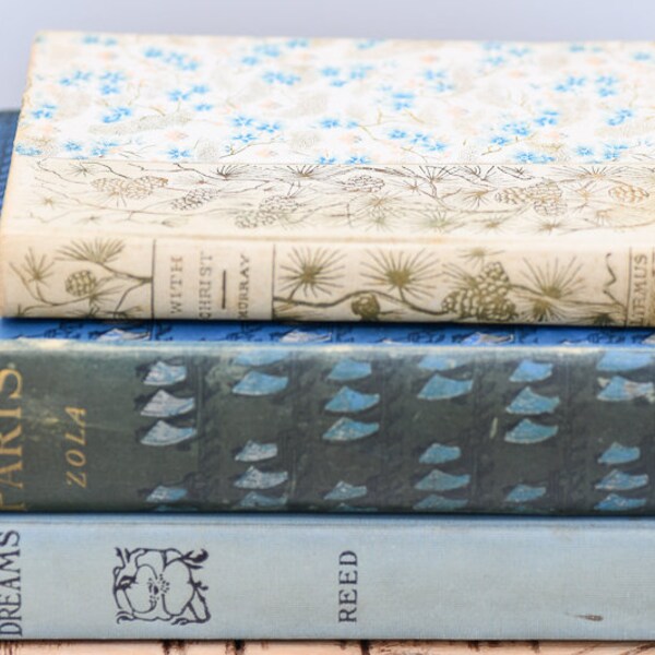Blue Book Stack - Etsy