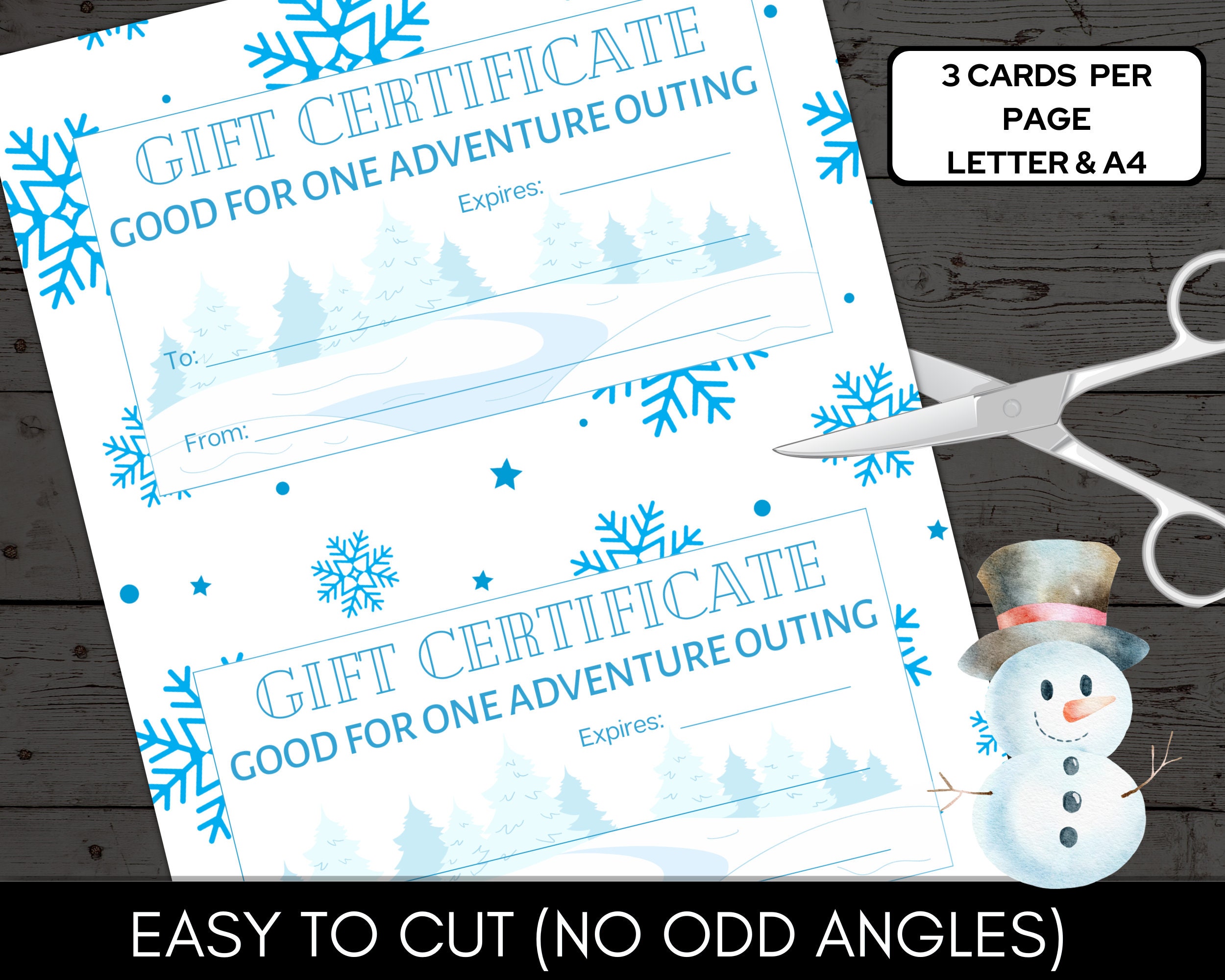Christmas Gift Certificate for Adventure Outing, Printable Coupon ...