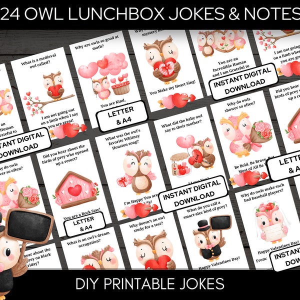 Owl Lunch Box - Etsy