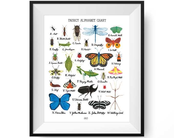 Insect Alphabet Chart Art Print - Etsy