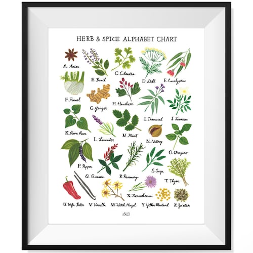 Flower Alphabet Chart Art Print - Etsy