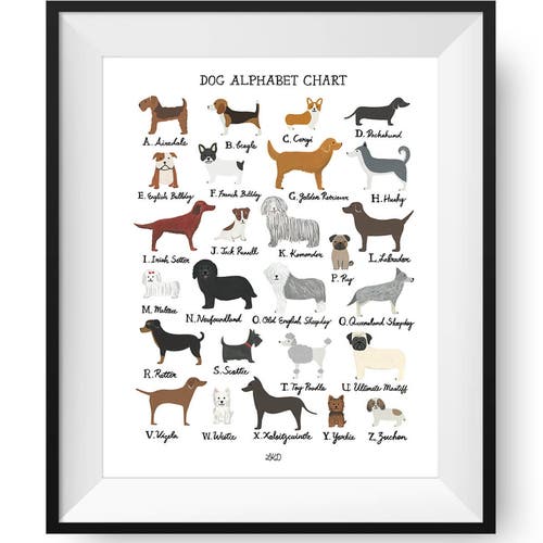Dog Alphabet Chart Poster 18x24 - Etsy