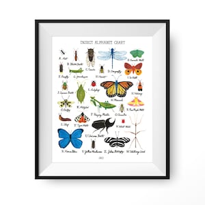 Insect Alphabet Chart Art Print - Etsy