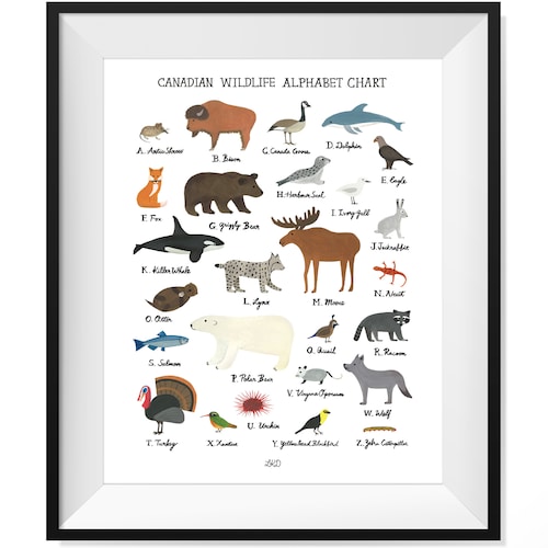 Digital Prints Canadian Wildlife Alphabet Chart Poster 18x24 Prints ...