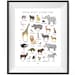 African Wildlife Alphabet Chart Art Print - Etsy Canada