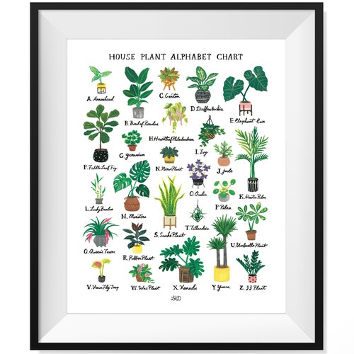 Flower Alphabet Chart Art Print - Etsy