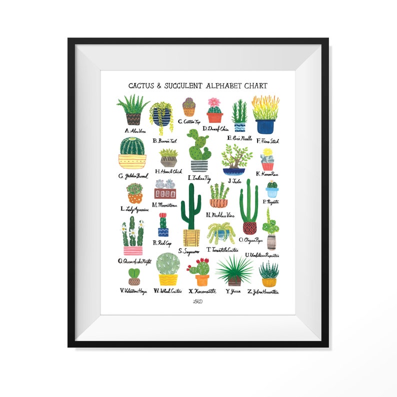 Cactus & Succulent Alphabet Chart Art Print - Etsy