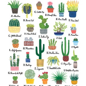 Cactus & Succulent Alphabet Chart Art Print - Etsy UK