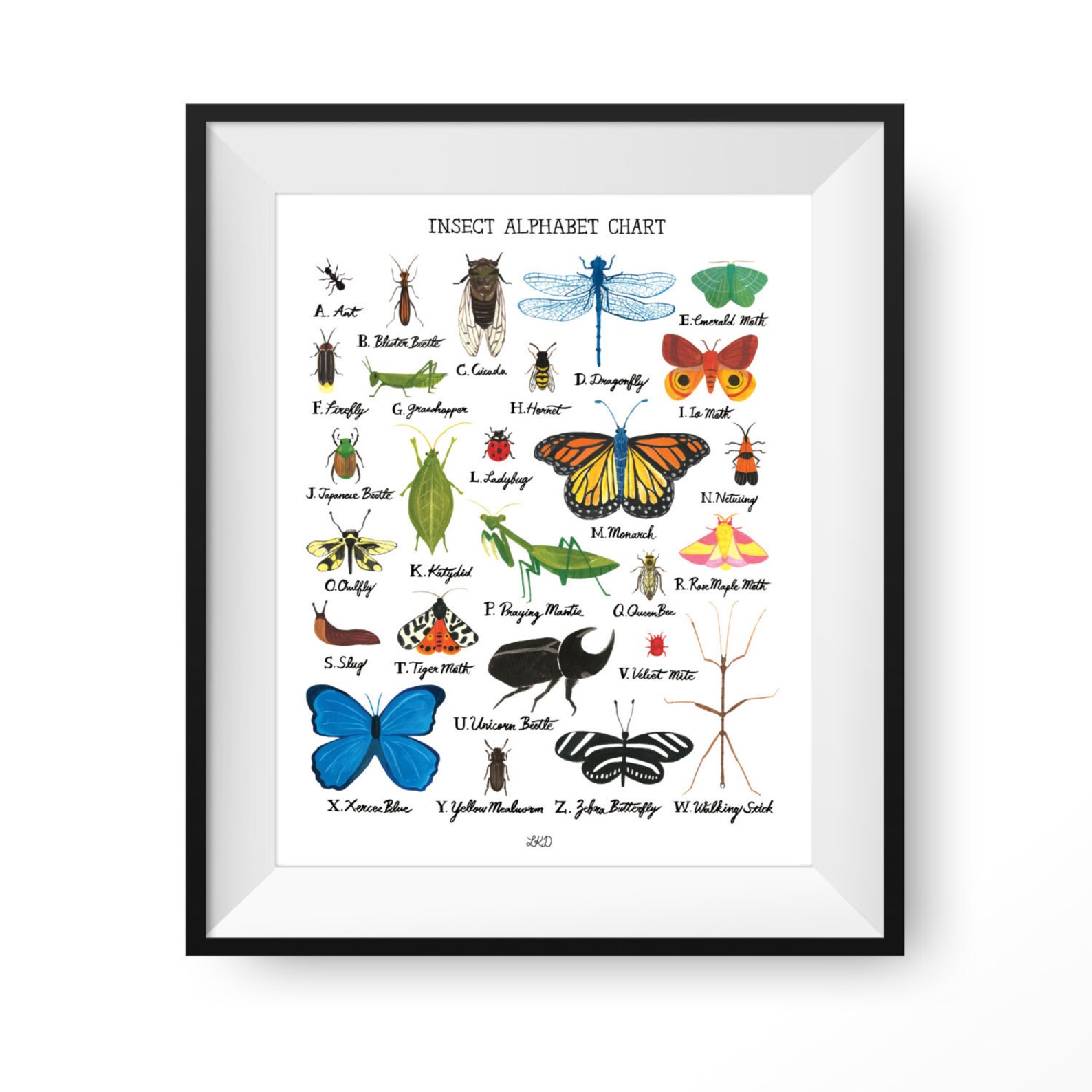 Insect Alphabet Chart Art Print - Etsy