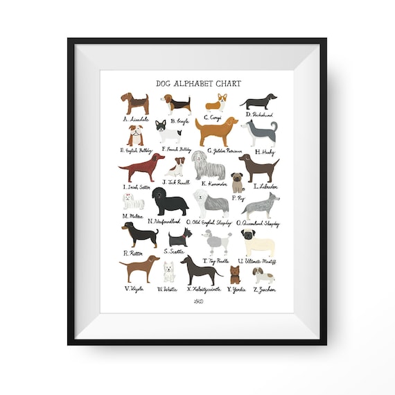 Dog Alphabet Chart Art Print | Etsy