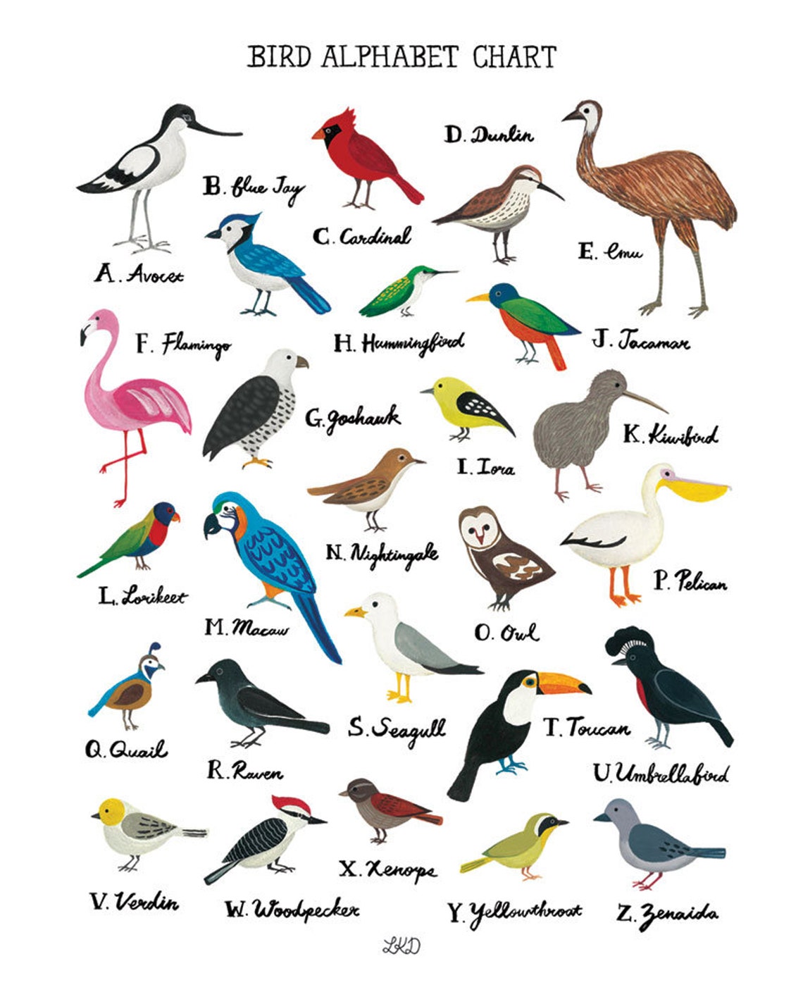 Bird Alphabet Chart Art Print - Etsy