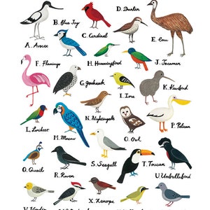 Bird Alphabet Chart Art Print - Etsy