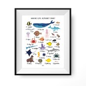 Canadian Wildlife Alphabet Chart - Etsy Canada