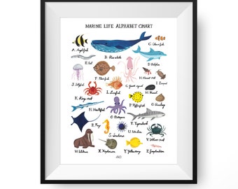 Marine Life Chart - Etsy