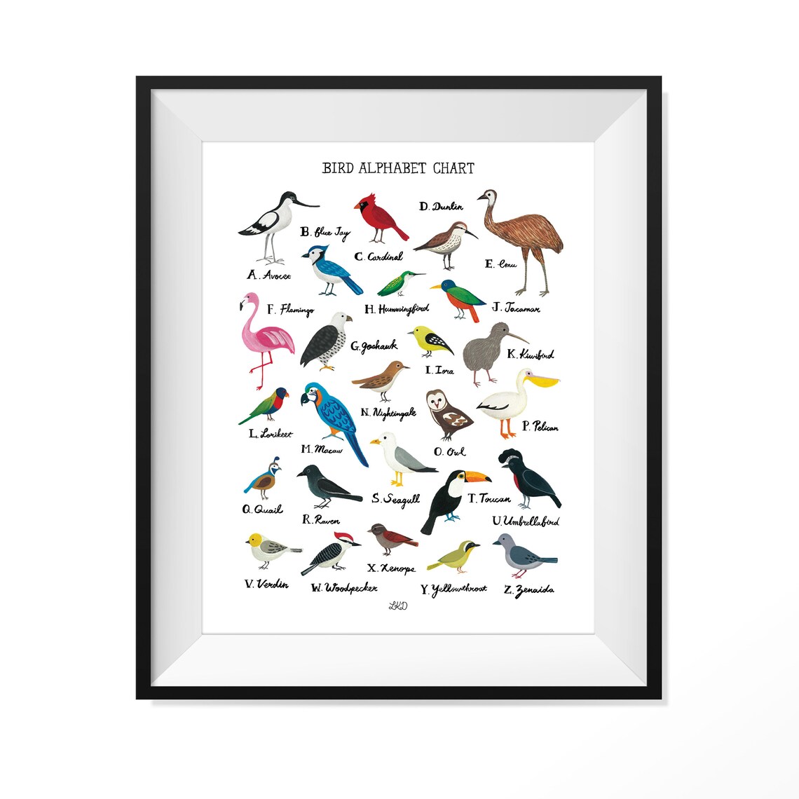 Bird Alphabet Chart Art Print - Etsy