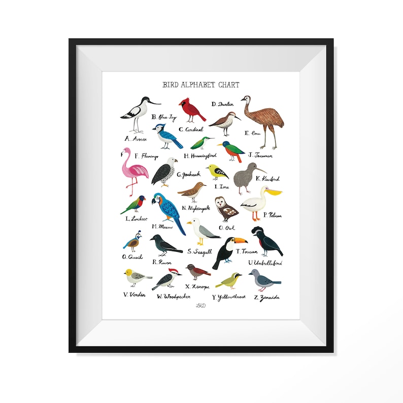 Bird Alphabet Chart Art Print - Etsy