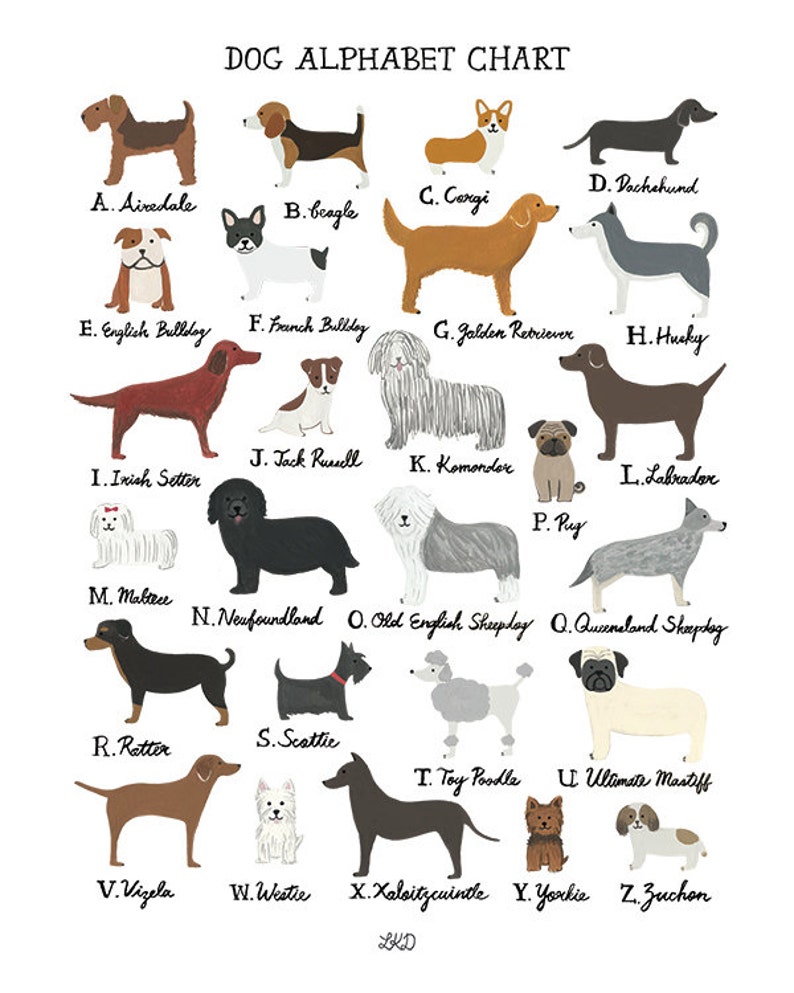 Dog Alphabet Chart Art Print - Etsy Canada