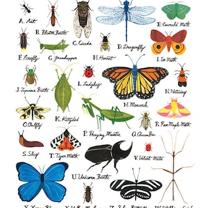 Insect Alphabet Chart Art Print - Etsy
