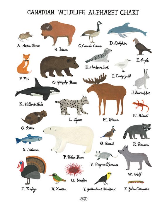 Canadian Wilderness Animals